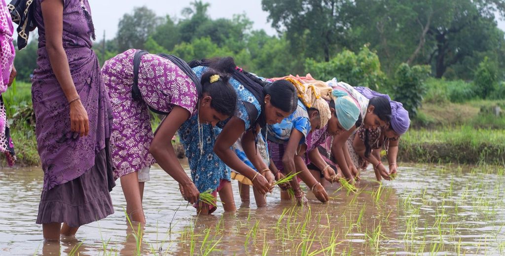 SEWA Cooperative Federation – Gujarat State Women's SEWA Co-Op ...